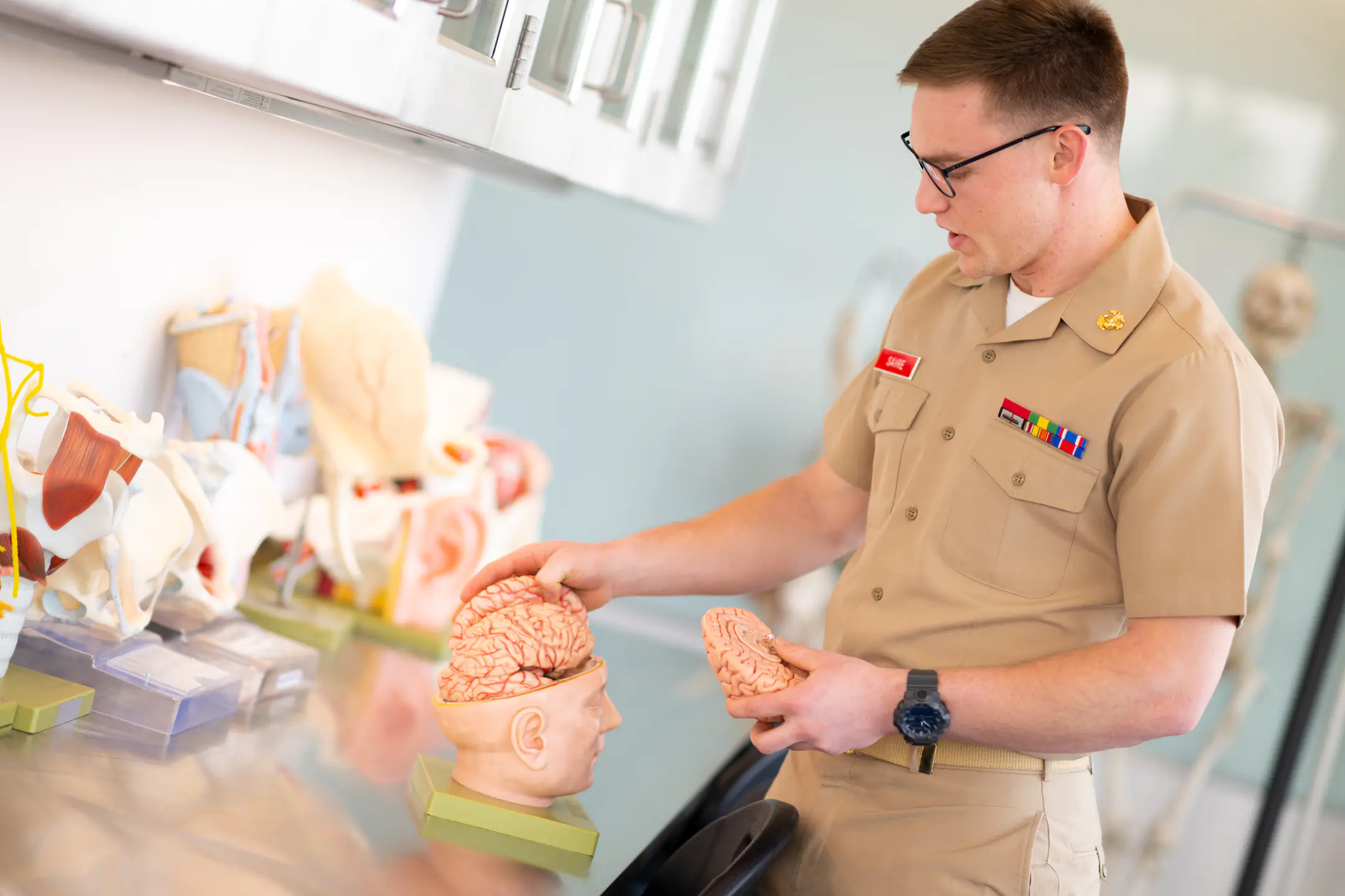 Doctor of Anatomical Sciences | University of Idaho